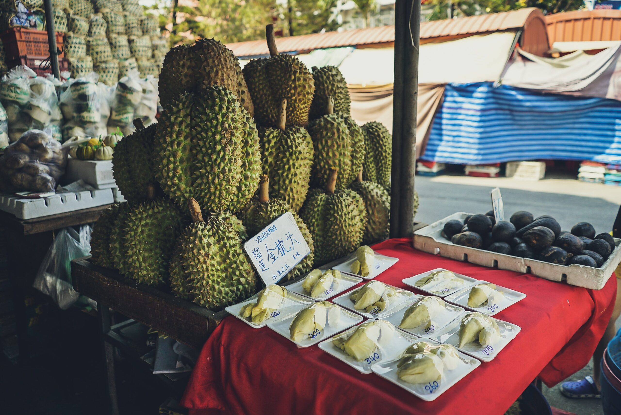 Durian la fruta más famosa y apestosa del sudeste asiático